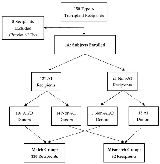 Blood Type A1 Mismatch Does Not Affect Heart Transplant Outcomes at One ...