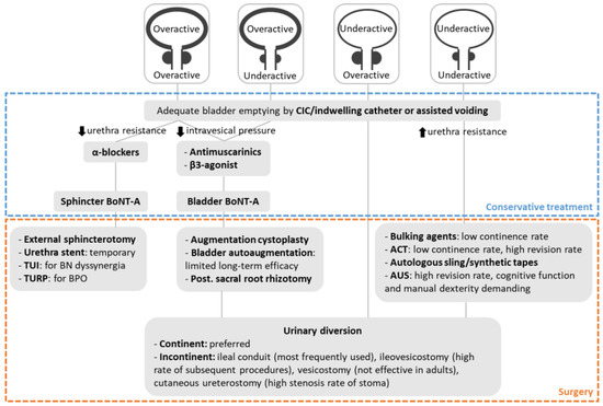 Current Surgical Treatment for Neurogenic Lower Urinary Tract ...