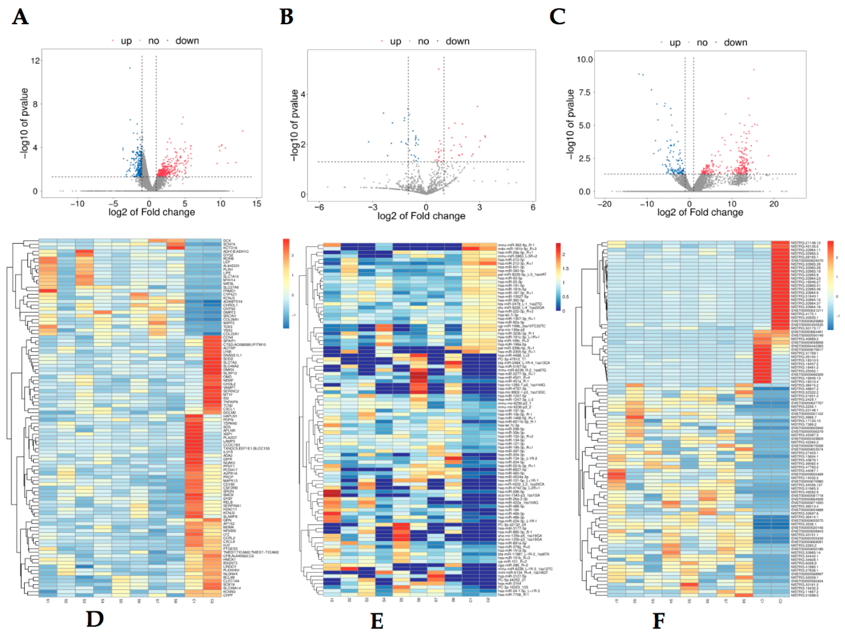 RNA-Seq Reveals the mRNAs, miRNAs, and lncRNAs Expression Profile of ...