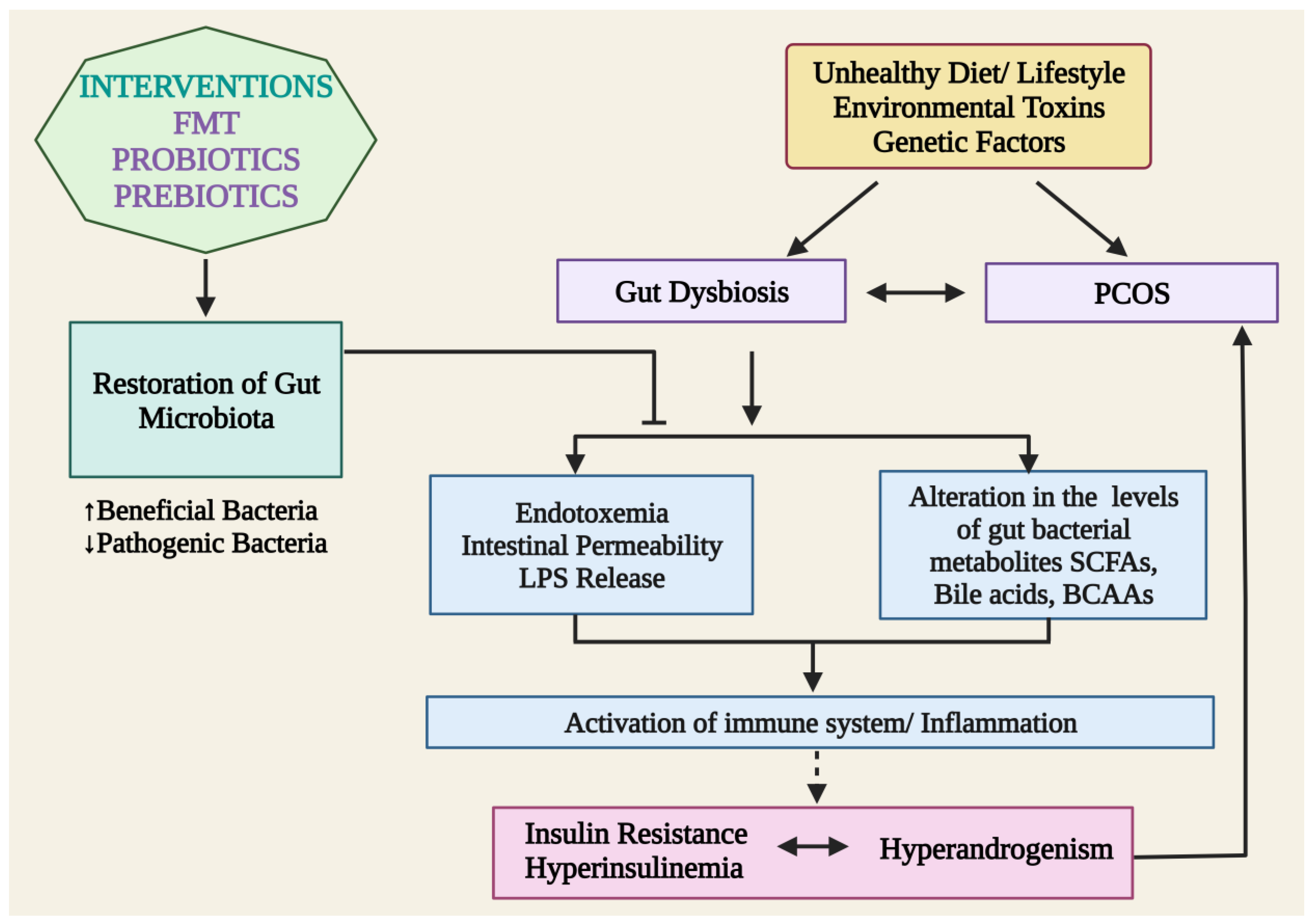 Jcm Free Full Text Polycystic Ovary Syndrome Etiology Current