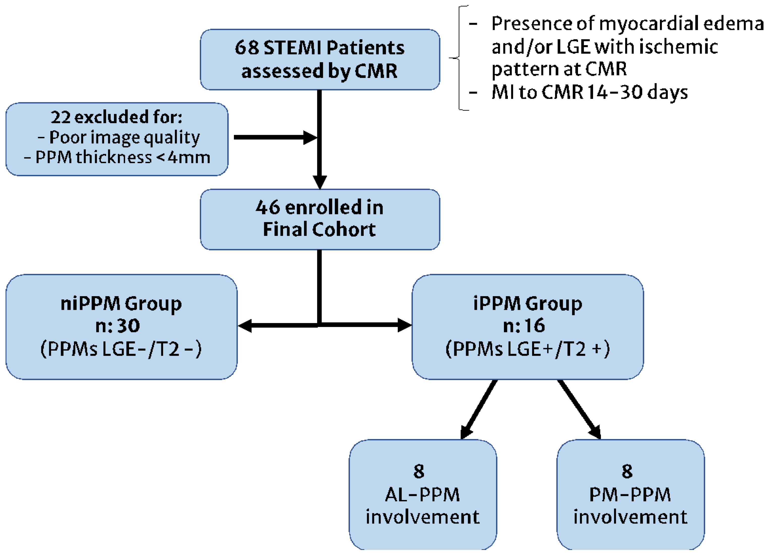 JCM | Free Full-Text | Papillary Muscle Involvement during Acute ...