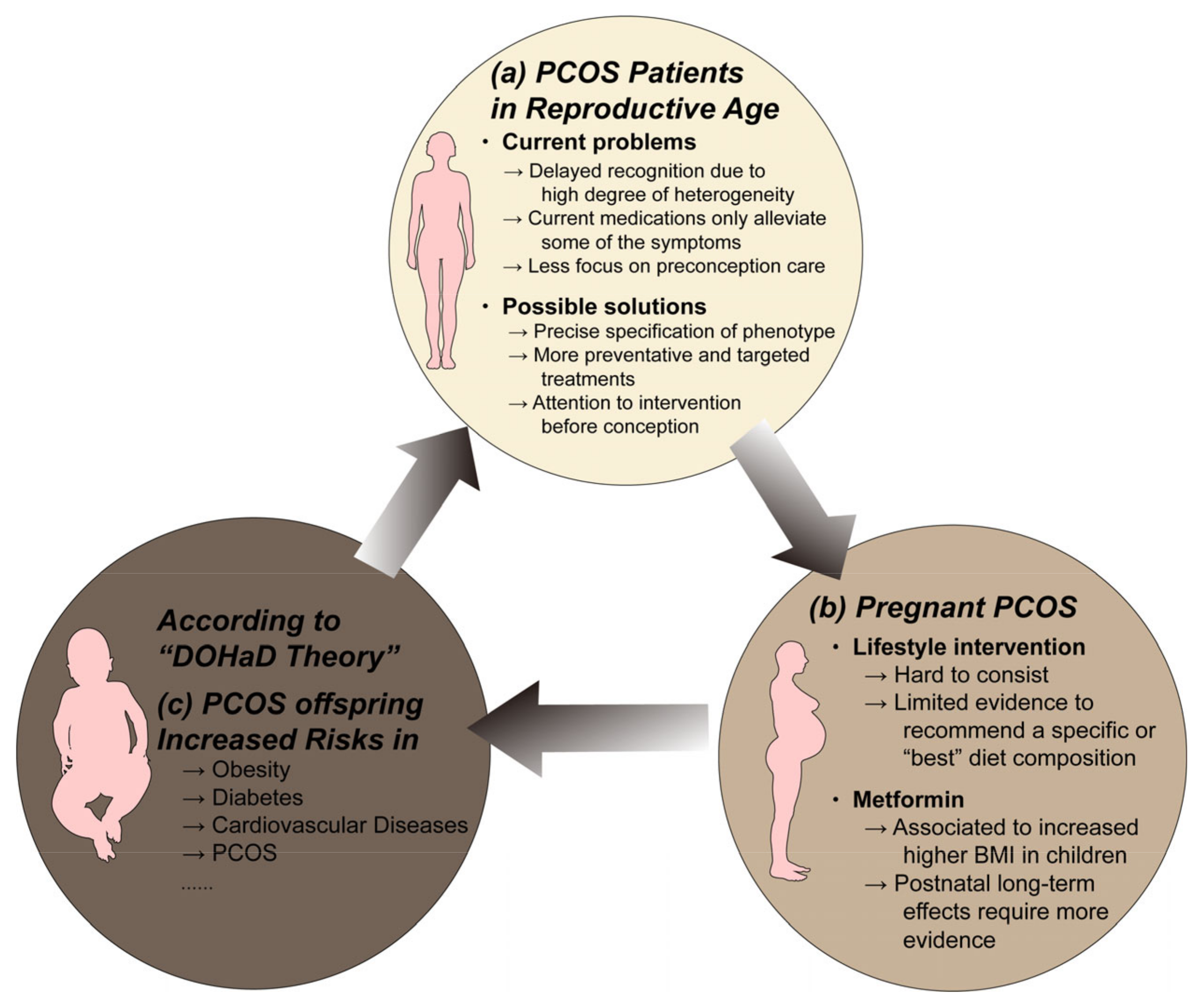 Jcm Free Full Text Polycystic Ovary Syndrome Challenges And