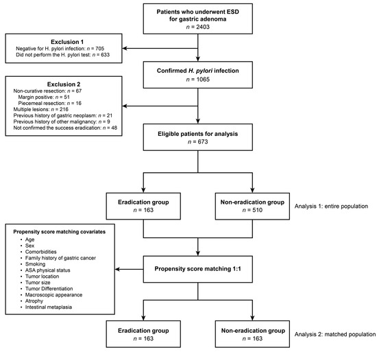 JCM | Free Full-Text | Effect of Helicobacter pylori Eradication ...