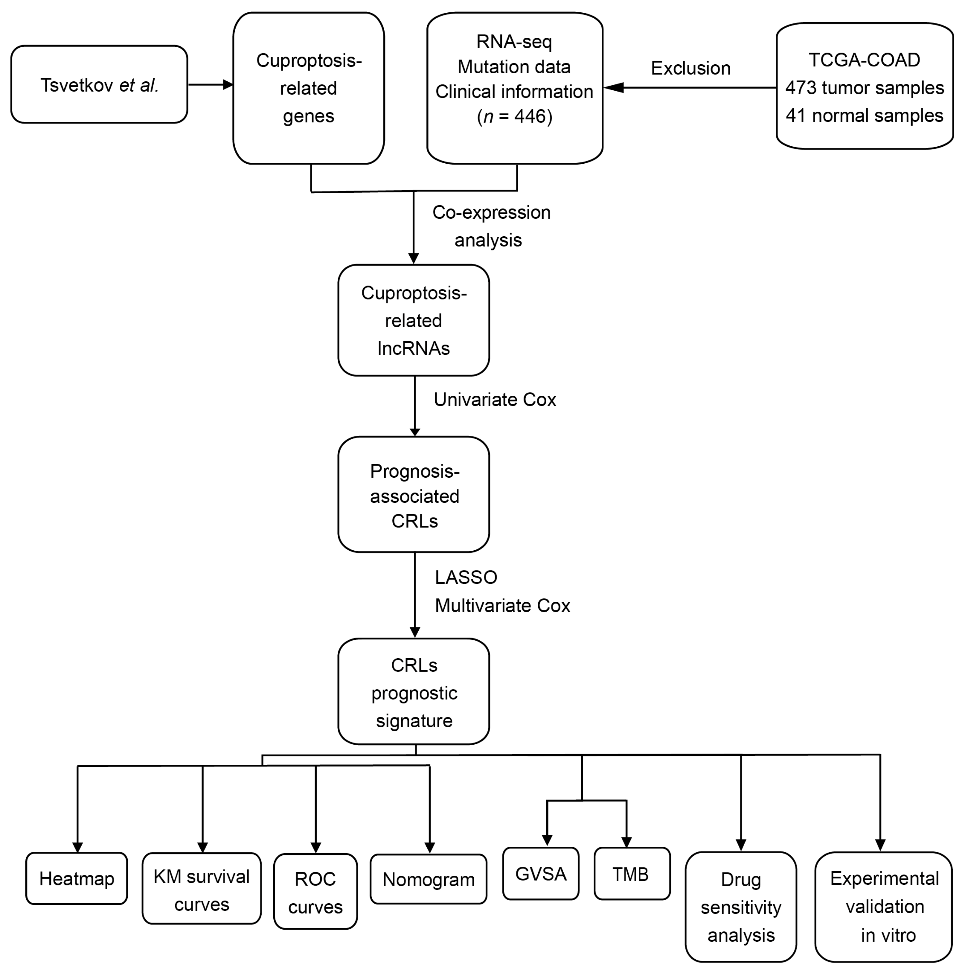Construction and Validation of a Novel Prognosis Model in Colon Cancer ...