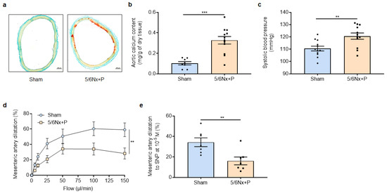 Subtotal Nephrectomy Associated with a High-Phosphate Diet in Rats ...