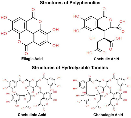 Randomized Double-Blind Placebo-Controlled Supplementation with ...