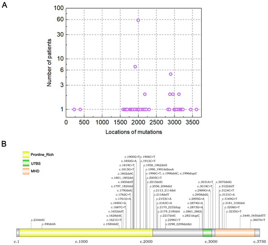 Preimplantation Genetic Testing (PGT) and Prenatal Diagnosis of Schaaf ...