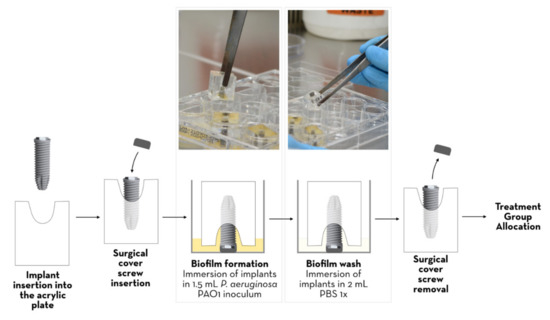 Dental Implant Surface Decontamination and Surface Change of an ...