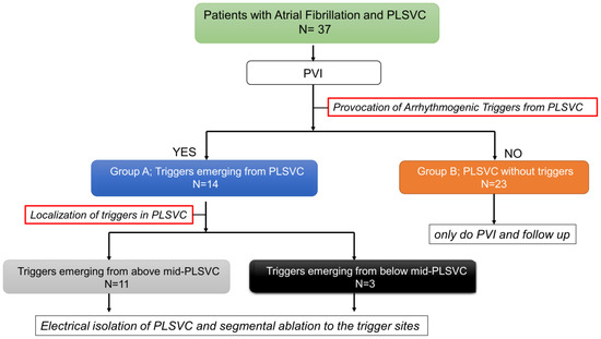Provocation and Localization of Arrhythmogenic Triggers from Persistent ...