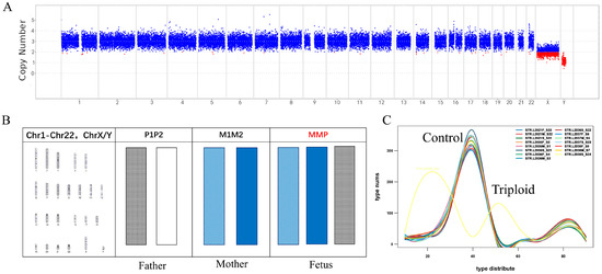 A Novel System for the Detection of Spontaneous Abortion-Causing ...