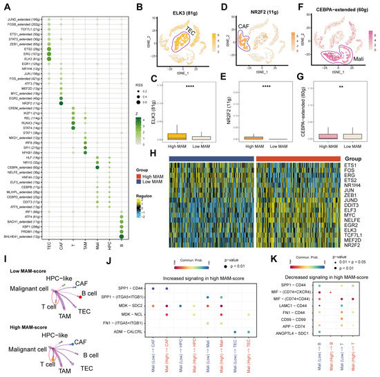 Mitochondria-Associated Endoplasmic Reticulum Membrane (MAM) Is a ...