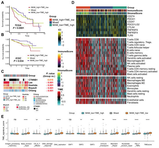 Mitochondria-Associated Endoplasmic Reticulum Membrane (MAM) Is a ...