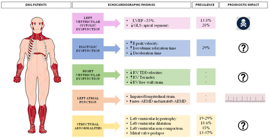 Echocardiographic Features of Cardiac Involvement in Myotonic Dystrophy ...