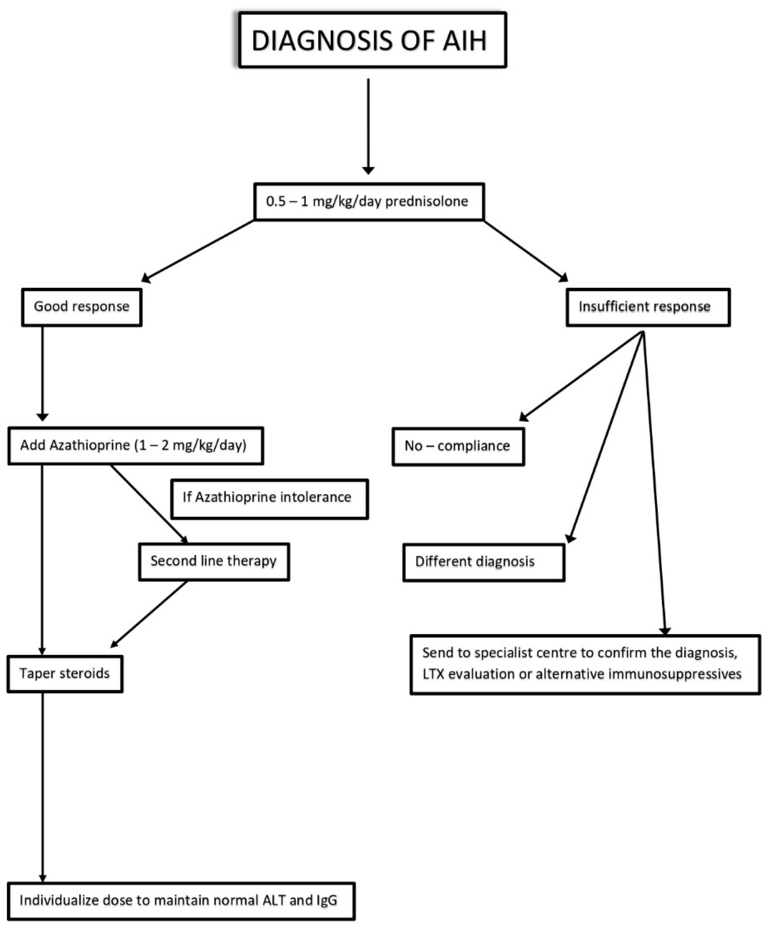 Autoimmune Hepatitis and Fibrosis