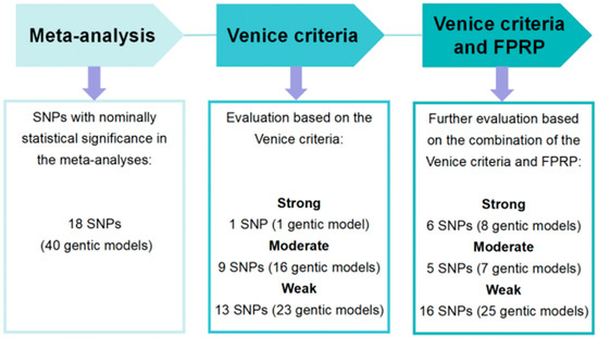Strong Cumulative Evidence of Associations of 6 Single Nucleotide ...