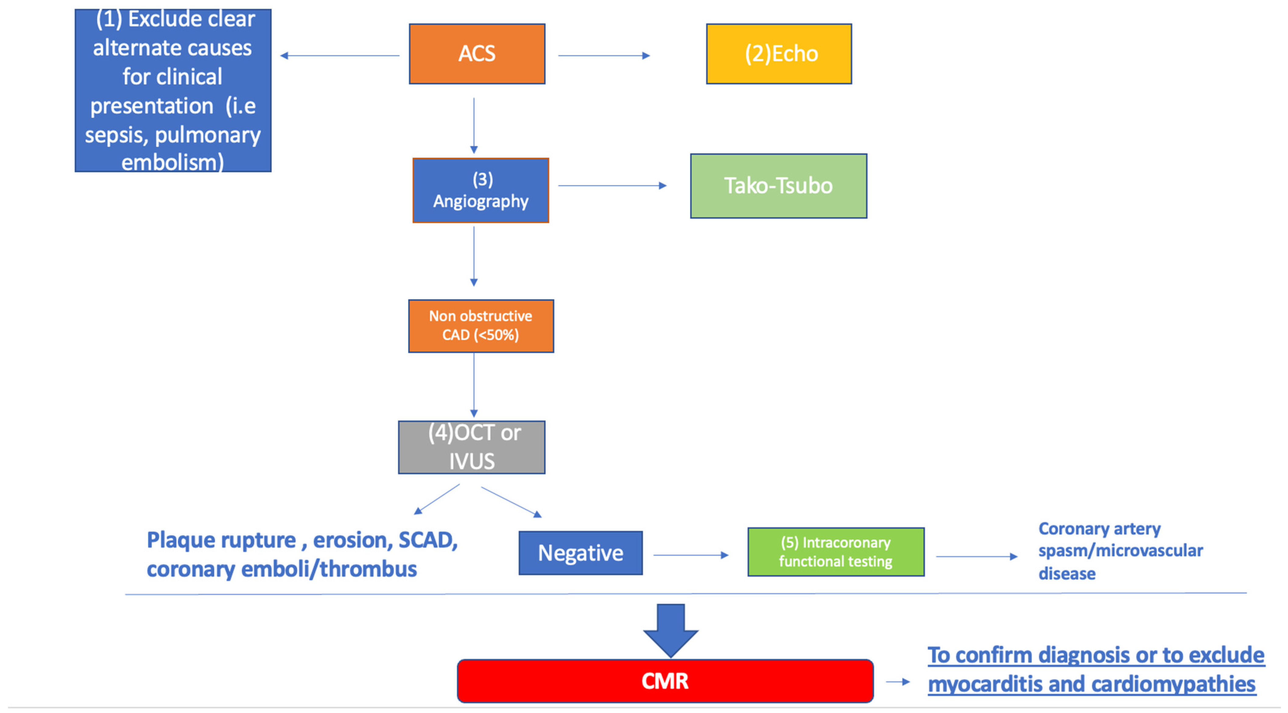 Role of Intracoronary Imaging in Myocardial Infarction with Non ...