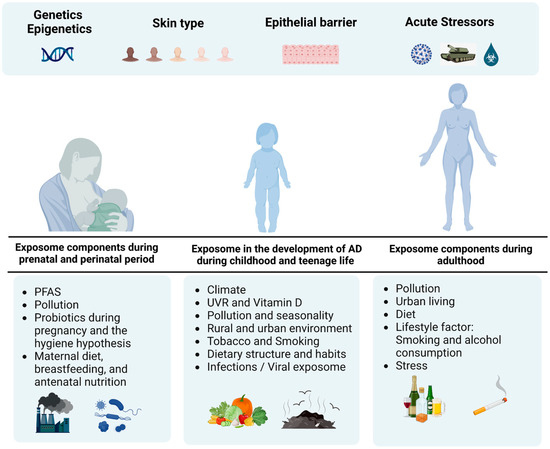 The Imprint of Exposome on the Development of Atopic Dermatitis across the Lifespan: A Narrative ...