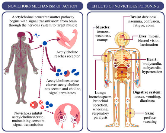 Review of Possible Therapies in Treatment of Novichoks Poisoning and ...