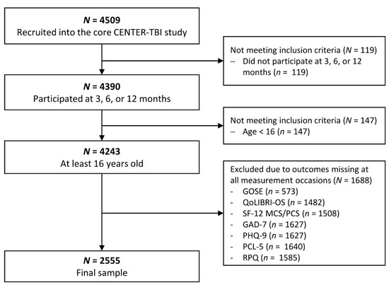 Impact of Sociodemographic, Premorbid, and Injury-Related Factors on ...