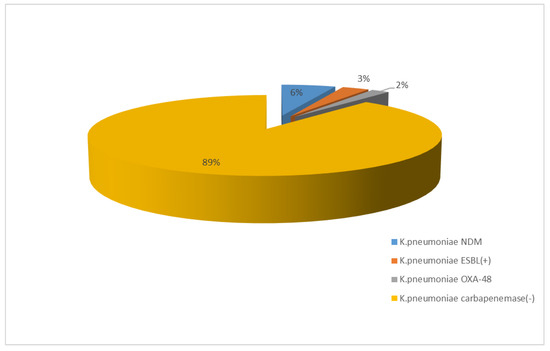 Evolution of Antibiotic Resistance in Escherichia coli and Klebsiella ...