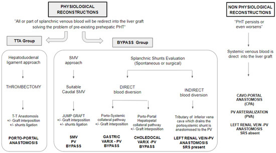 Liver Transplantation in Patients with Portal Vein Thrombosis ...