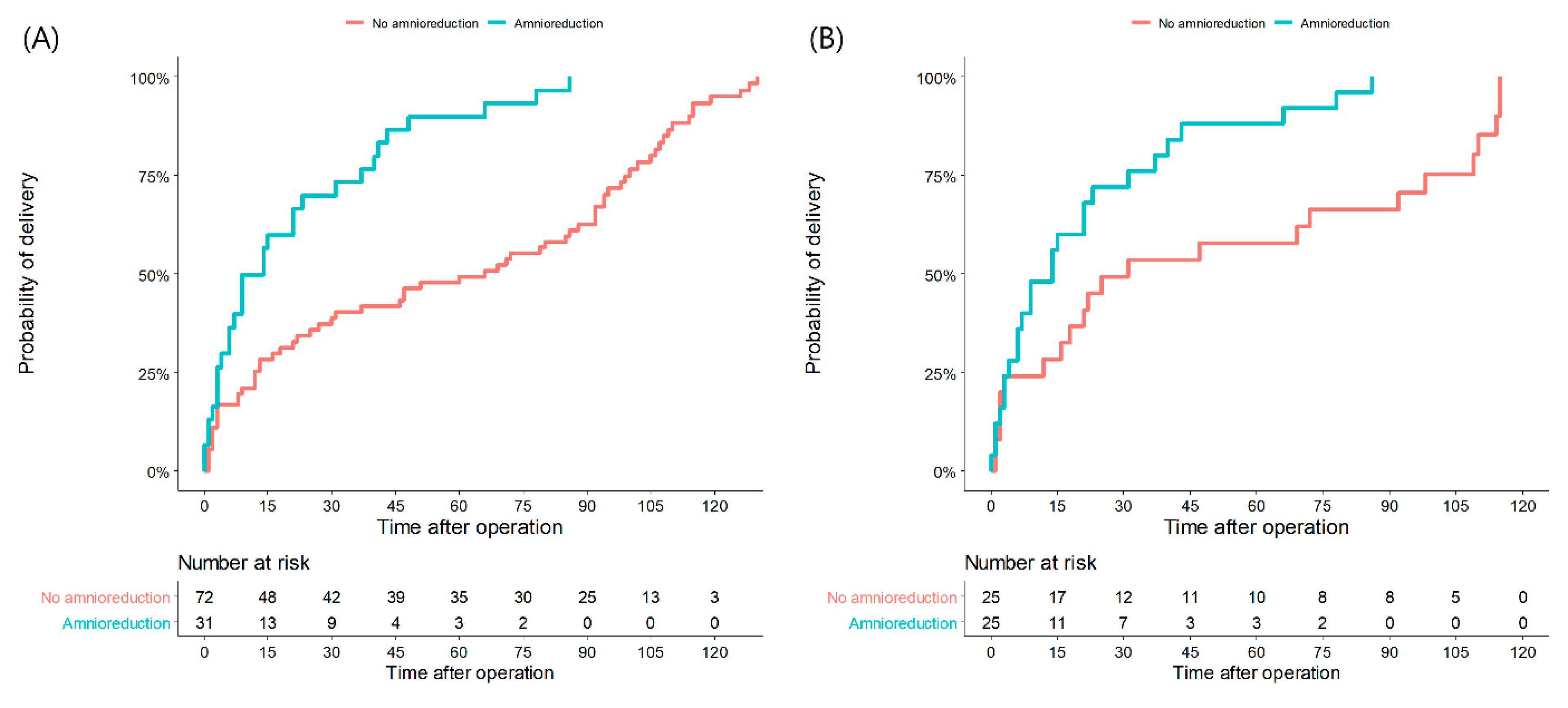 JCM | Free Full-Text | Effects of Amnioreduction before Physical ...