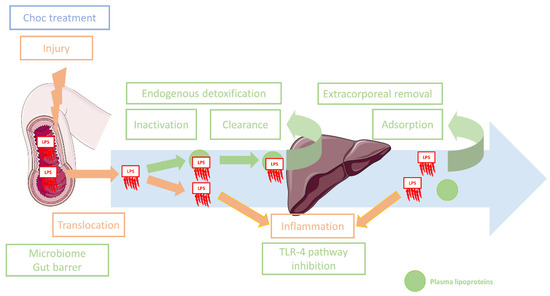 JCM | Free Full-Text | Endotoxemia in Acute Heart Failure and ...