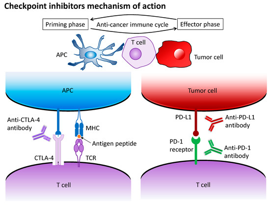 JCM | Free Full-Text | Updated Immunotherapy for Gastric Cancer
