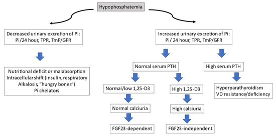 Osteomalacia in Adults: A Practical Insight for Clinicians