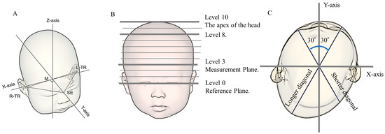 Cranial Shape Measurements Obtained Using a Caliper and Elastic Bands ...