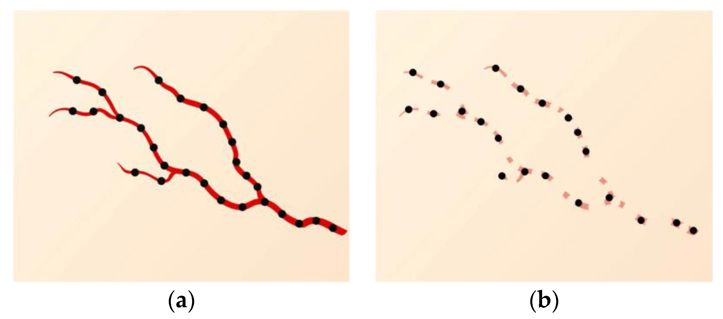 JCM | Free Full-Text | Evaluation of the Pinhole Method Using Carbon ... JCM | Free Full-Text | Evaluation of the Pinhole Method Using Carbon ...