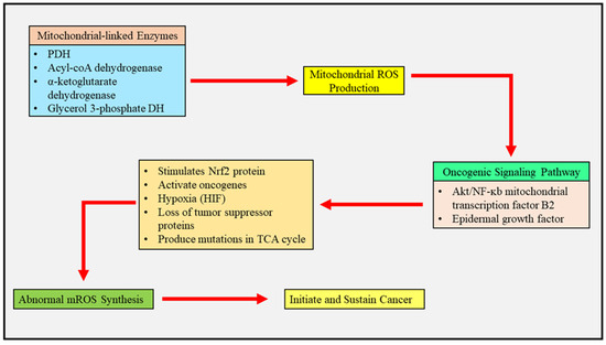 Mitochondrial Dysfunction: A Cellular and Molecular Hub in Pathology of ...