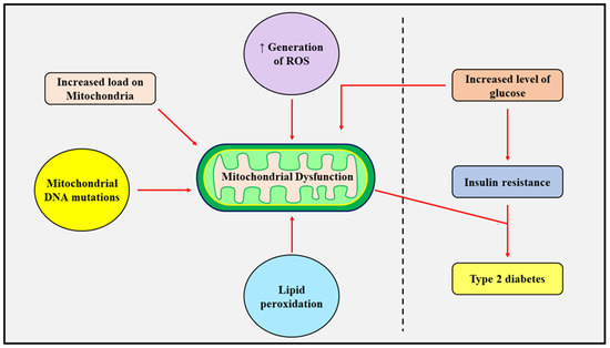 Mitochondrial Dysfunction: A Cellular and Molecular Hub in Pathology of ...