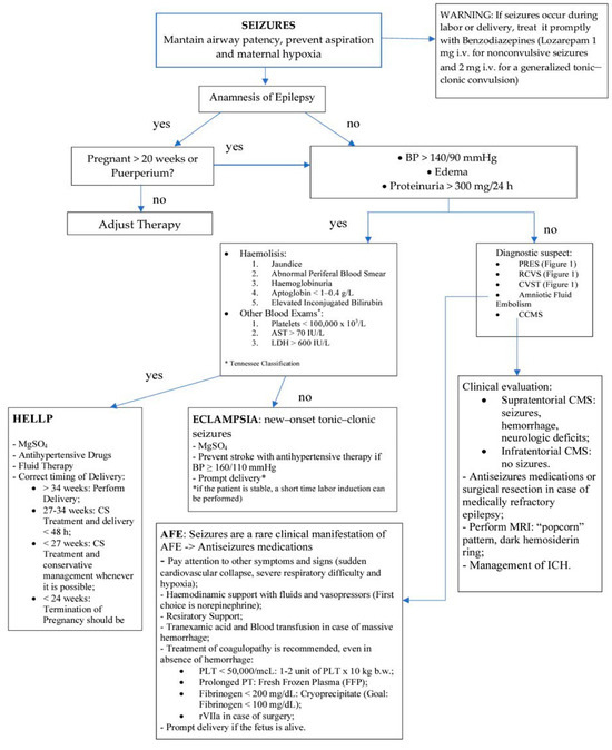 Neurological Complications in Pregnancy and the Puerperium: Methodology ...