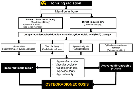 Review of Osteoradionecrosis of the Jaw: Radiotherapy Modality ...
