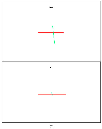 JCM | Free Full-Text | Validation of “Neurit.Space”: Three Digital ...