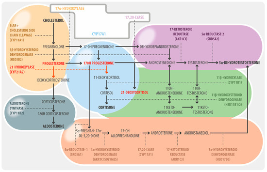 Clinical Update on Congenital Adrenal Hyperplasia: Recommendations from ...