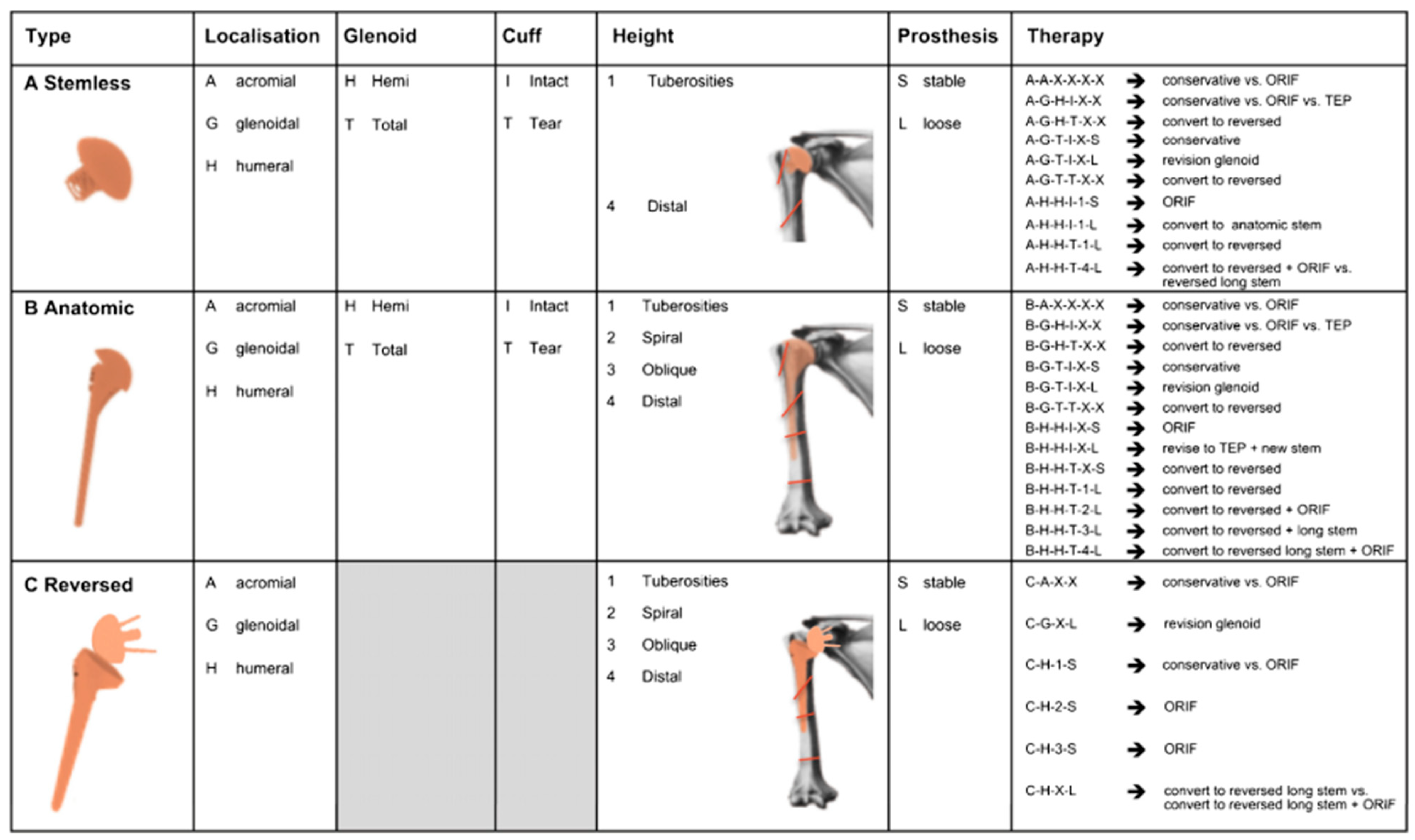 Inter-Observer and Intra-Observer Reliability Assessment of the ...