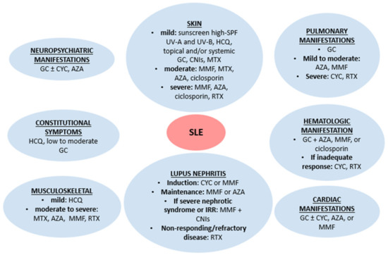Targeted Therapy for SLE—What Works, What Doesn’t, What’s Next
