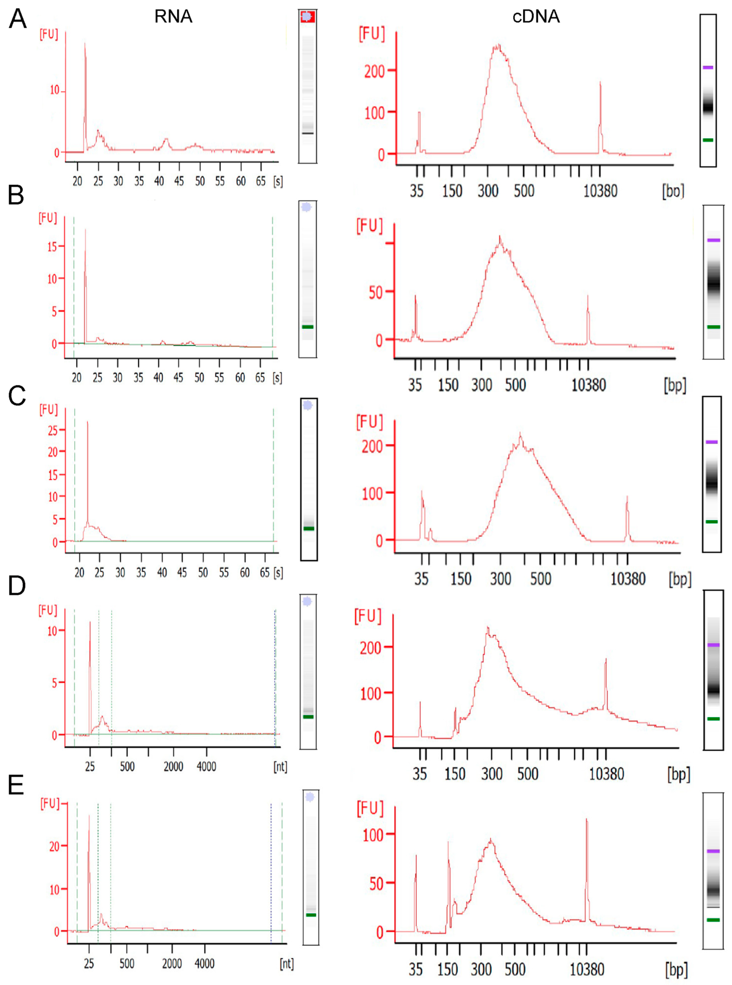 Microisolation of Spatially Characterized Single Populations of Neurons ...