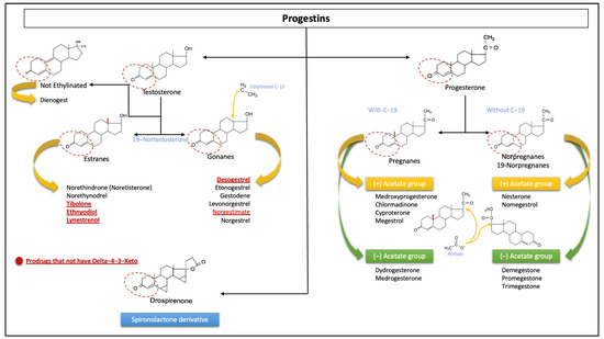 Understanding Progestins: From Basics to Clinical Applicability