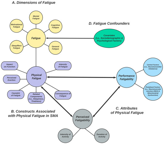 JCM | Free Full-Text | Measuring Fatigue and Fatigability in Spinal ...