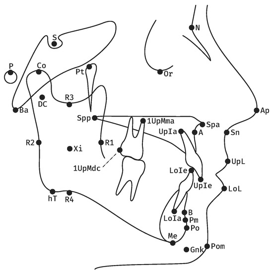The Position of the Virtual Hinge Axis in Relation to the Maxilla in ...