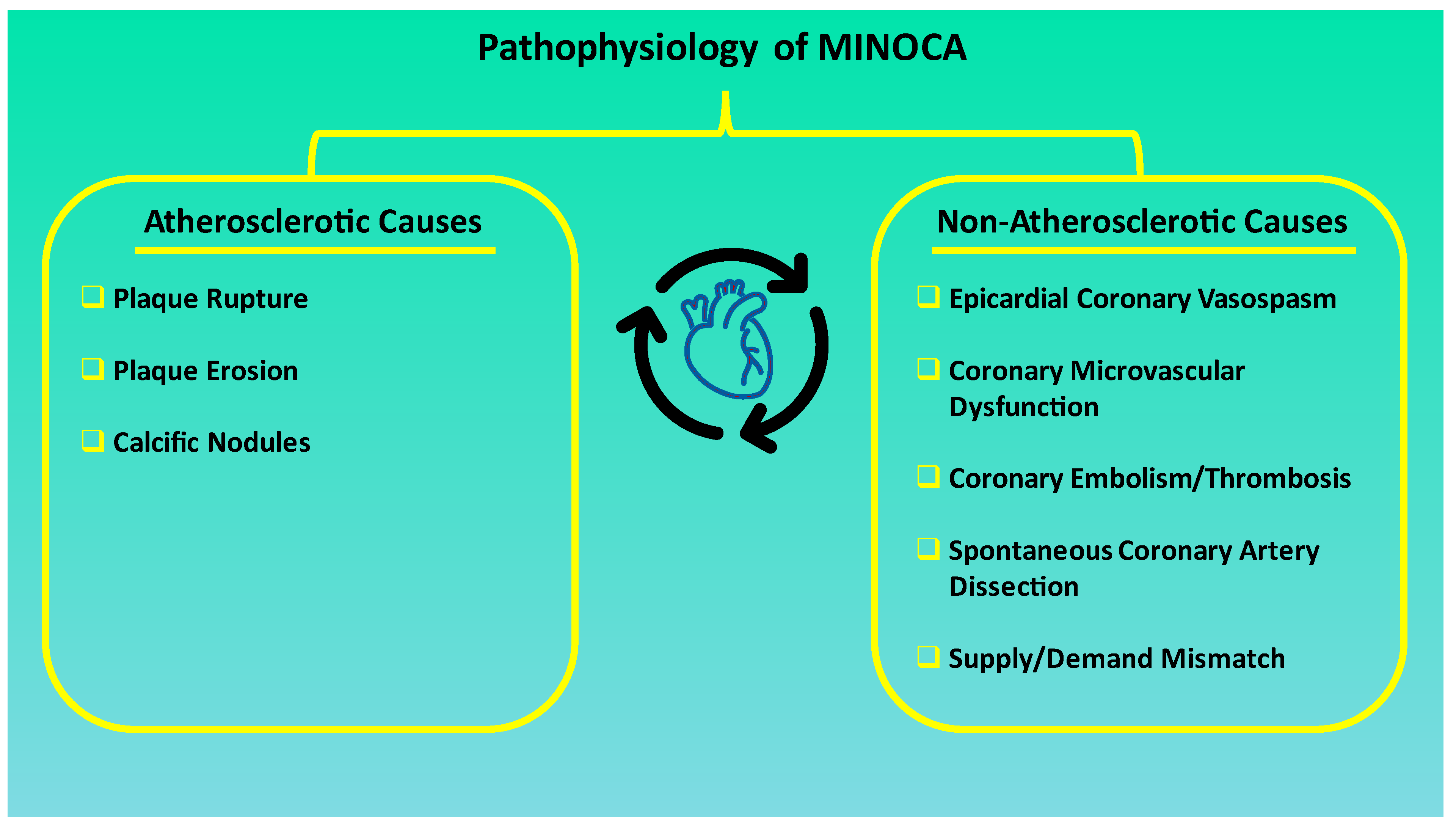 Myocardial Infarction with Non-Obstructive Coronary Arteries (MINOCA ...