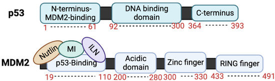 MDM2 Implications for Potential Molecular Pathogenic Therapies of Soft ...