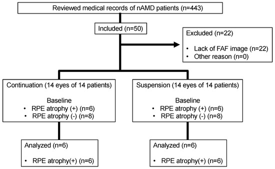 Suspension of Anti-VEGF Treatment Does Not Affect Expansion of RPE ...