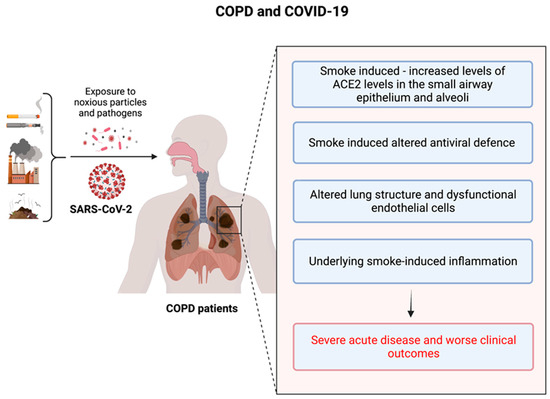 JCM | Free Full-Text | The Complex Association between COPD and COVID-19