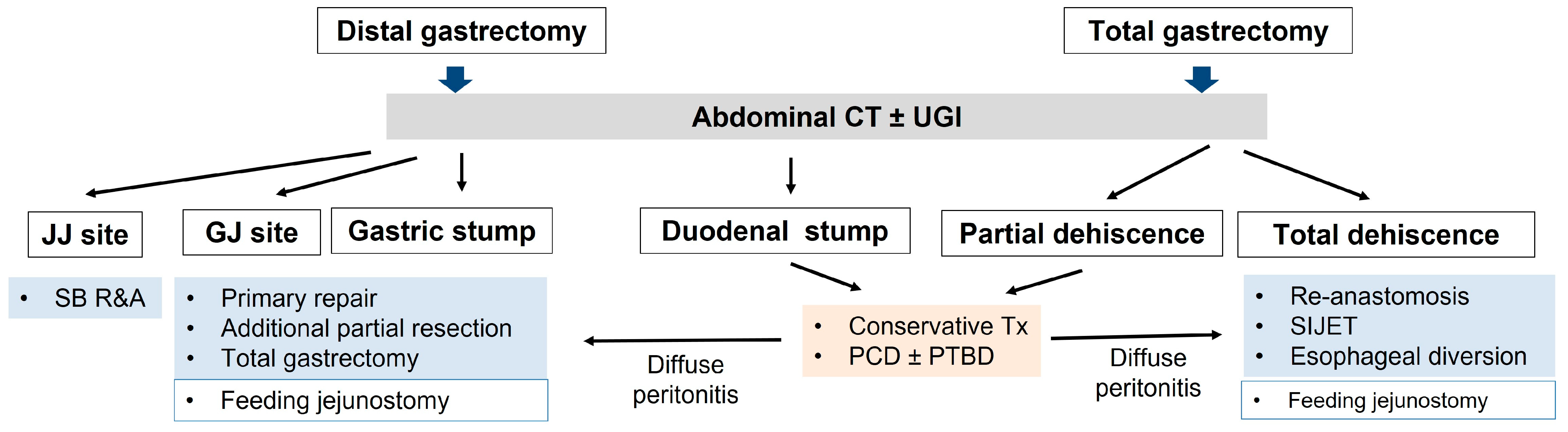 Distal Gastrectomy