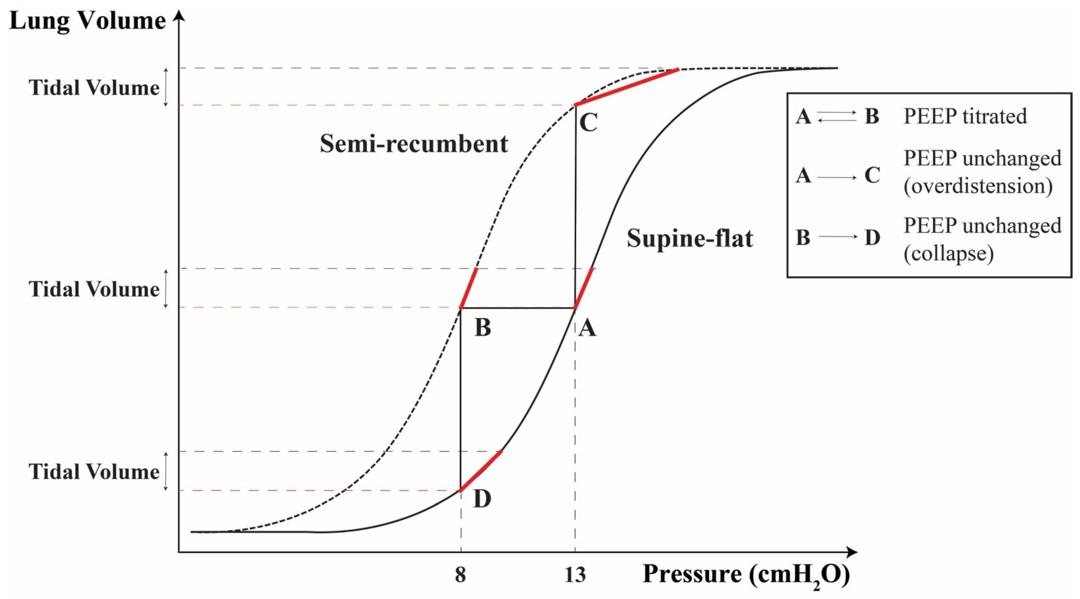 PEEP Titration Is Markedly Affected by Trunk Inclination in ...