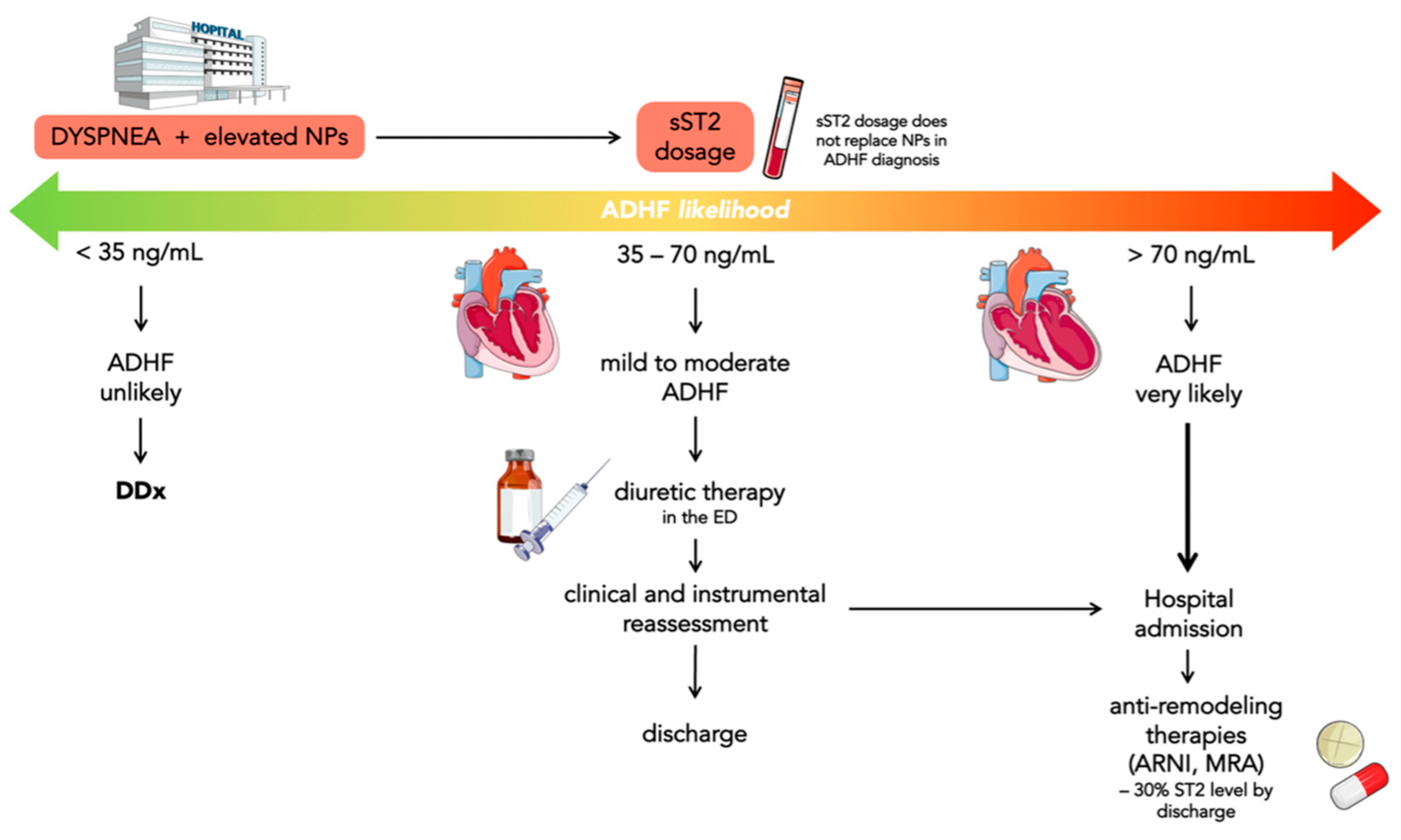 Prognostic Value of sST2 in Heart Failure
